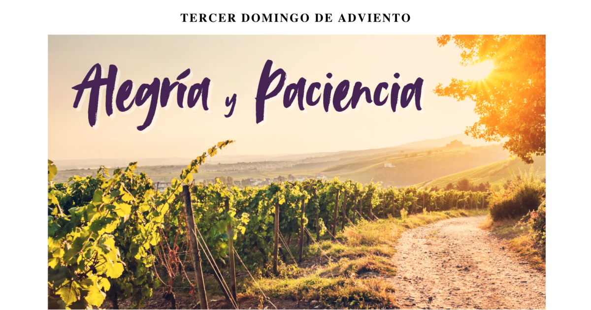 Adviento 2025 - Guía de Oración del 3º Domingo | JPIC Learning Hub